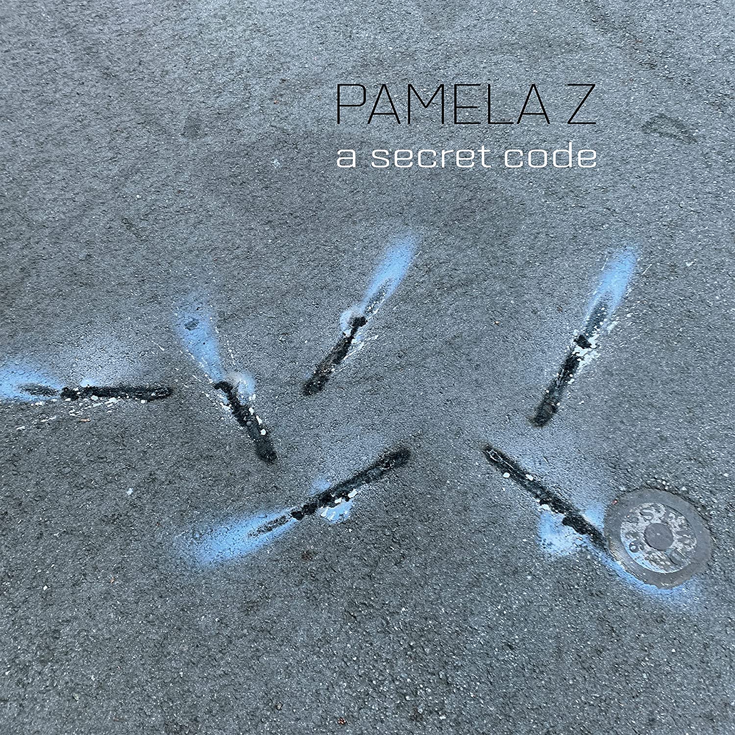 Solo Artist Pamela Z releases “a secret code” « New Music Buff